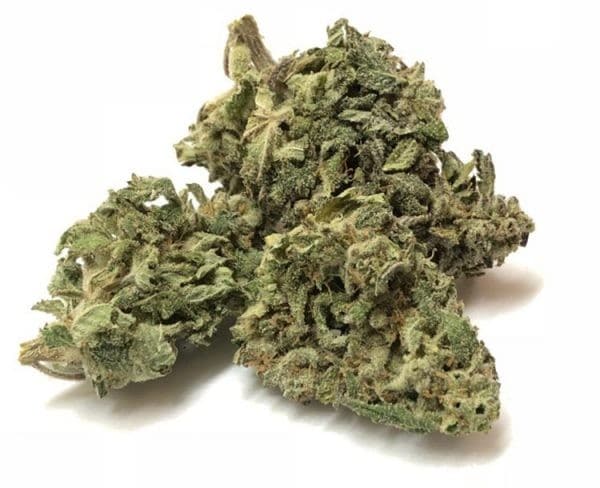 Buy Blueberry Kush Online - Blueberry Kush For Sale Worldwide
